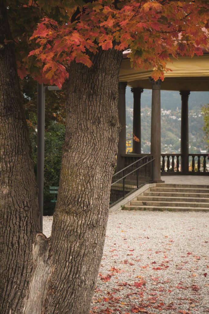 Bergisel ski jump: Innsbruck hiking (and dragons) — Wild & Without