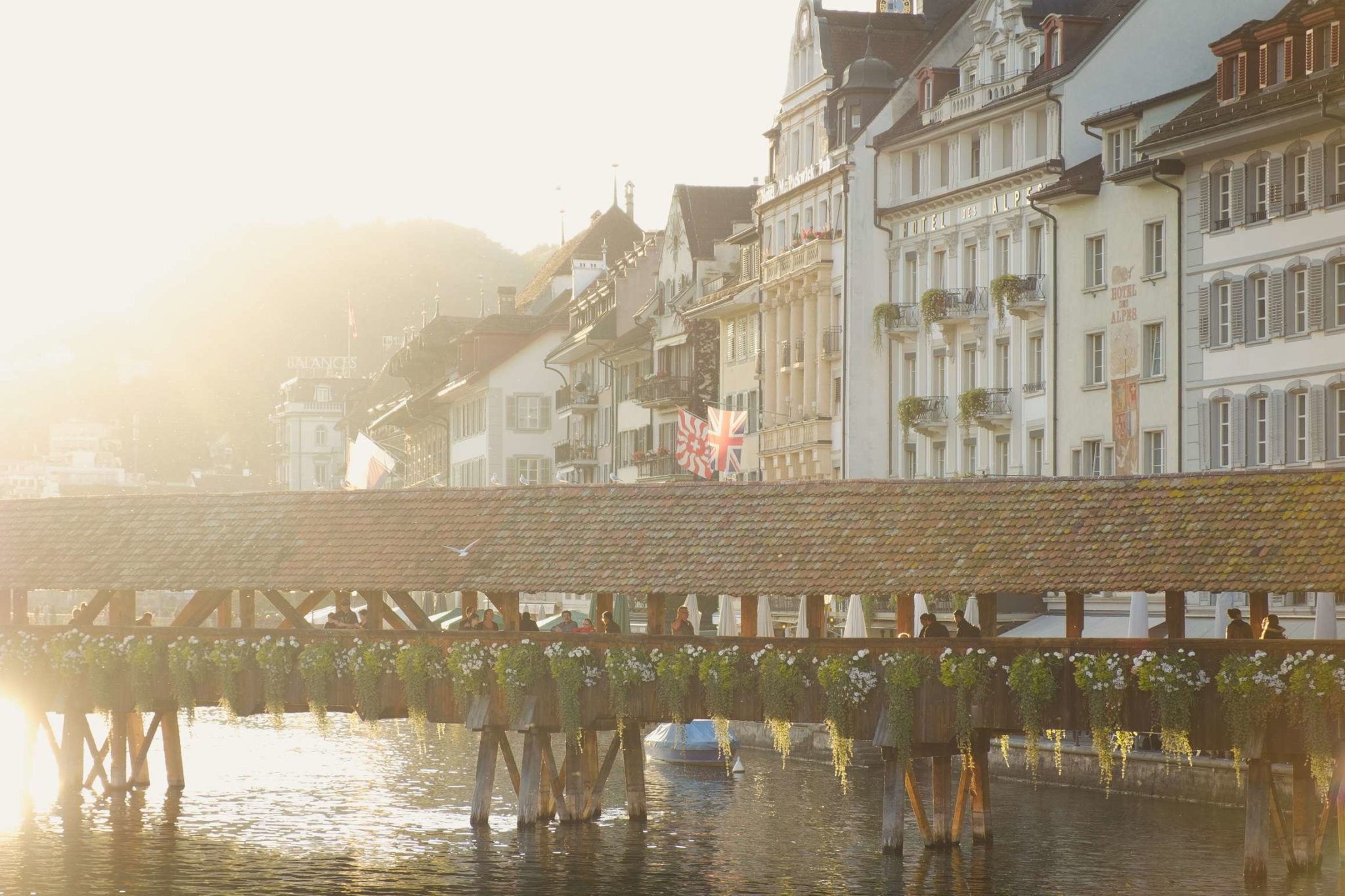 Wild and without worries in Lucerne — Wild & Without
