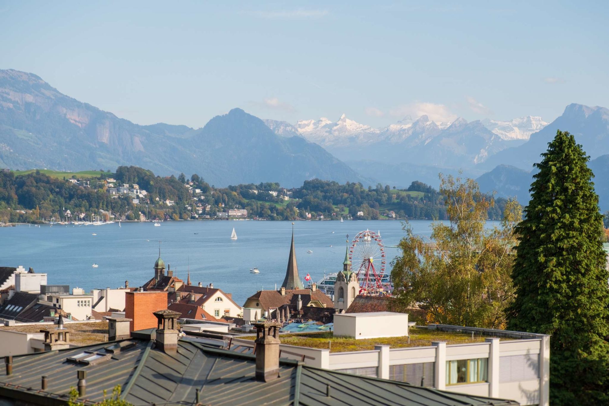 Wild and without worries in Lucerne — Wild & Without