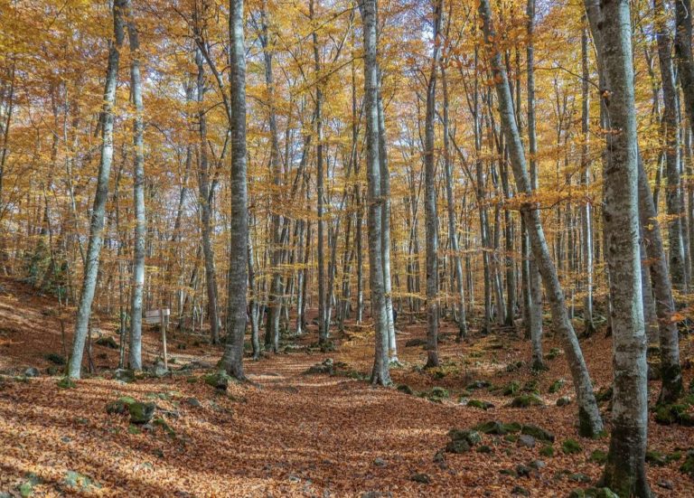 Wild and without enough time: Catalonia to Portugal — Wild & Without